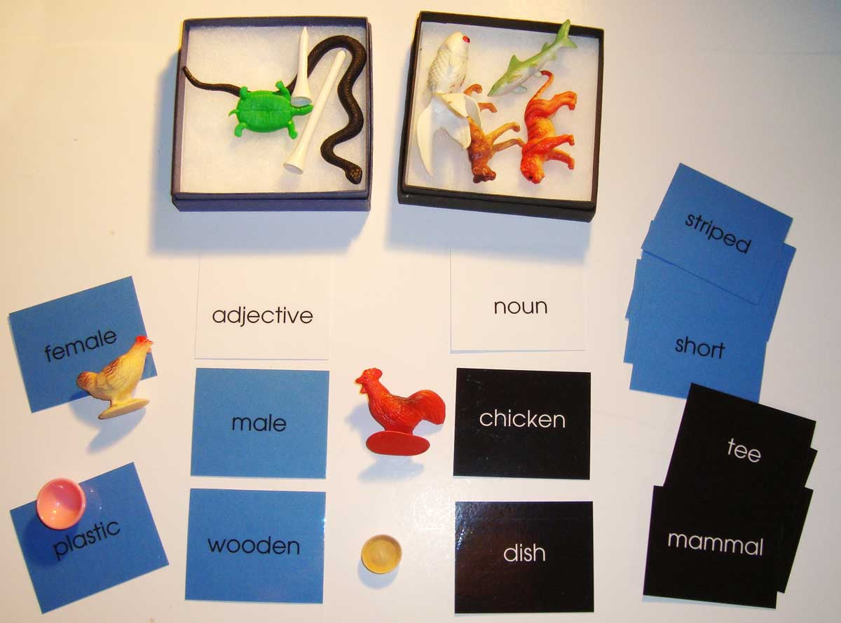 Adjective Noun Game – Montessori Materials by Lakeview