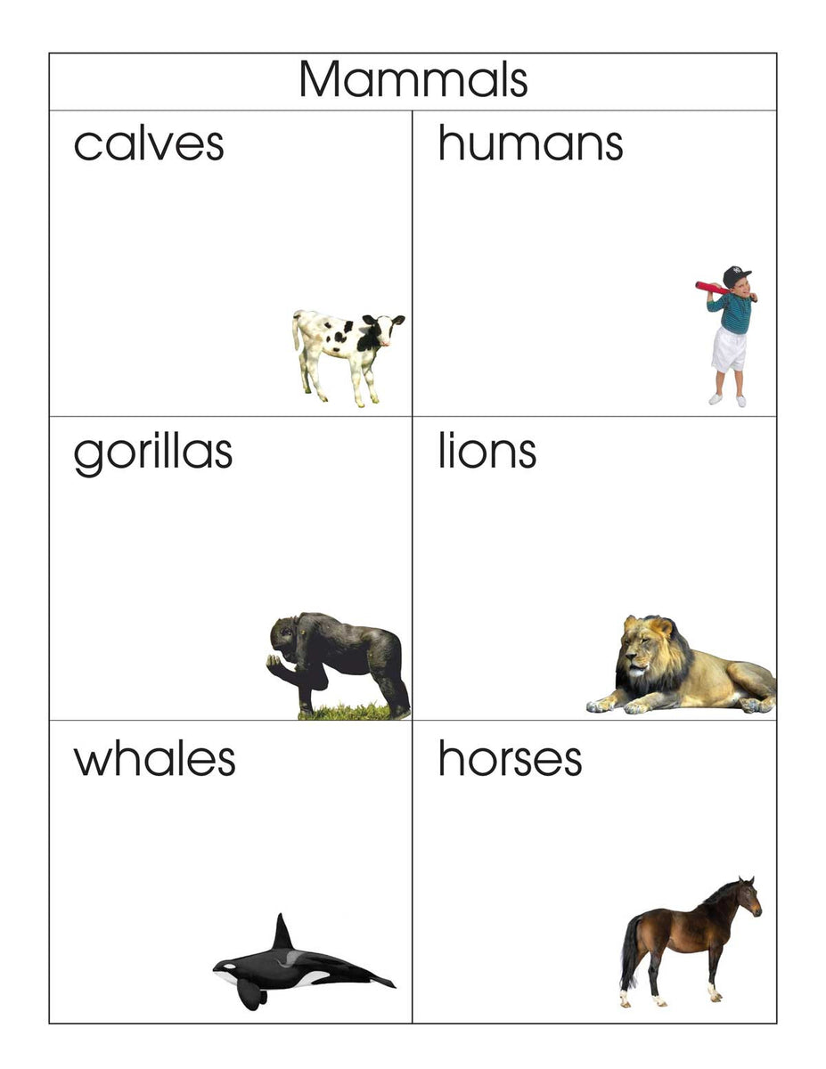 Mammals – Montessori Materials by Lakeview