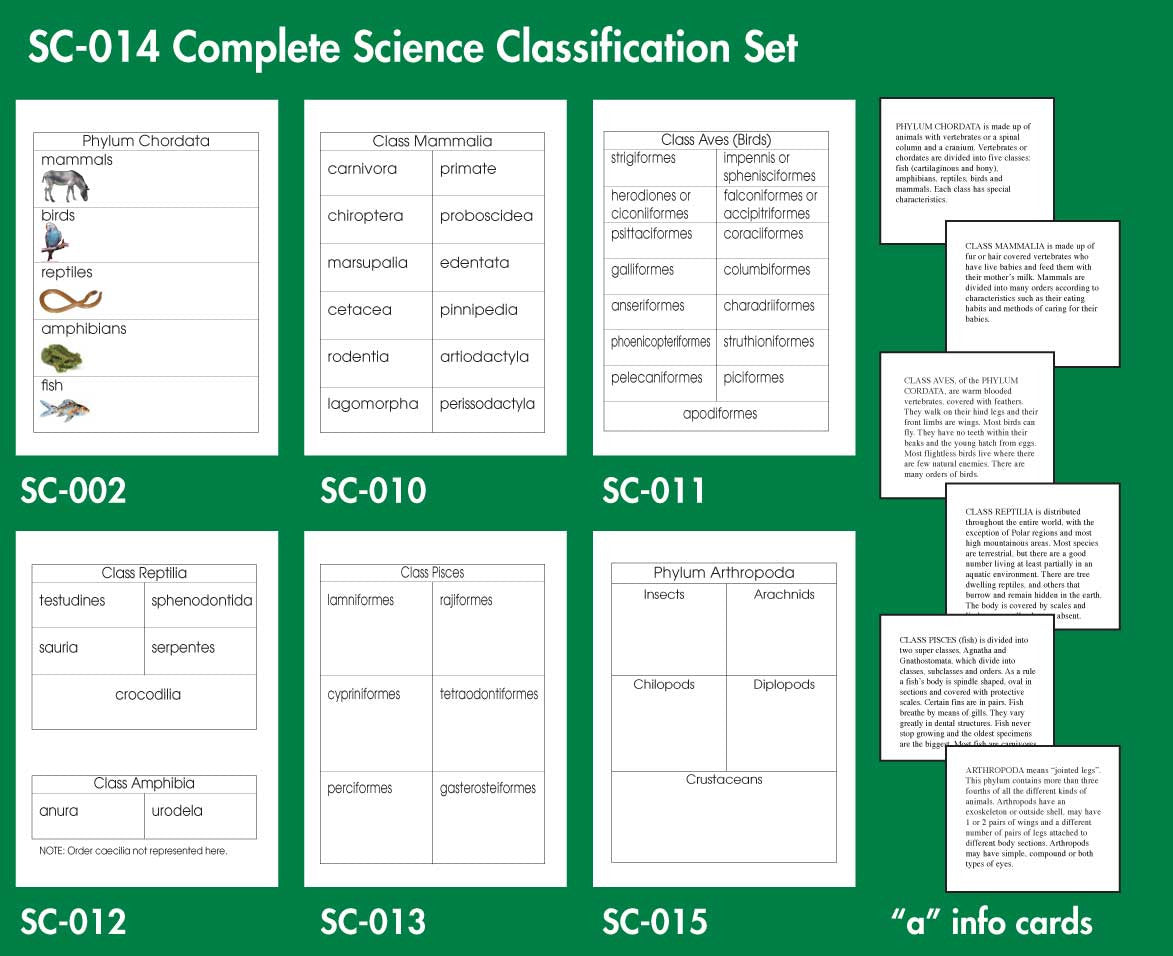 Science Classification Set – Montessori Materials by Lakeview