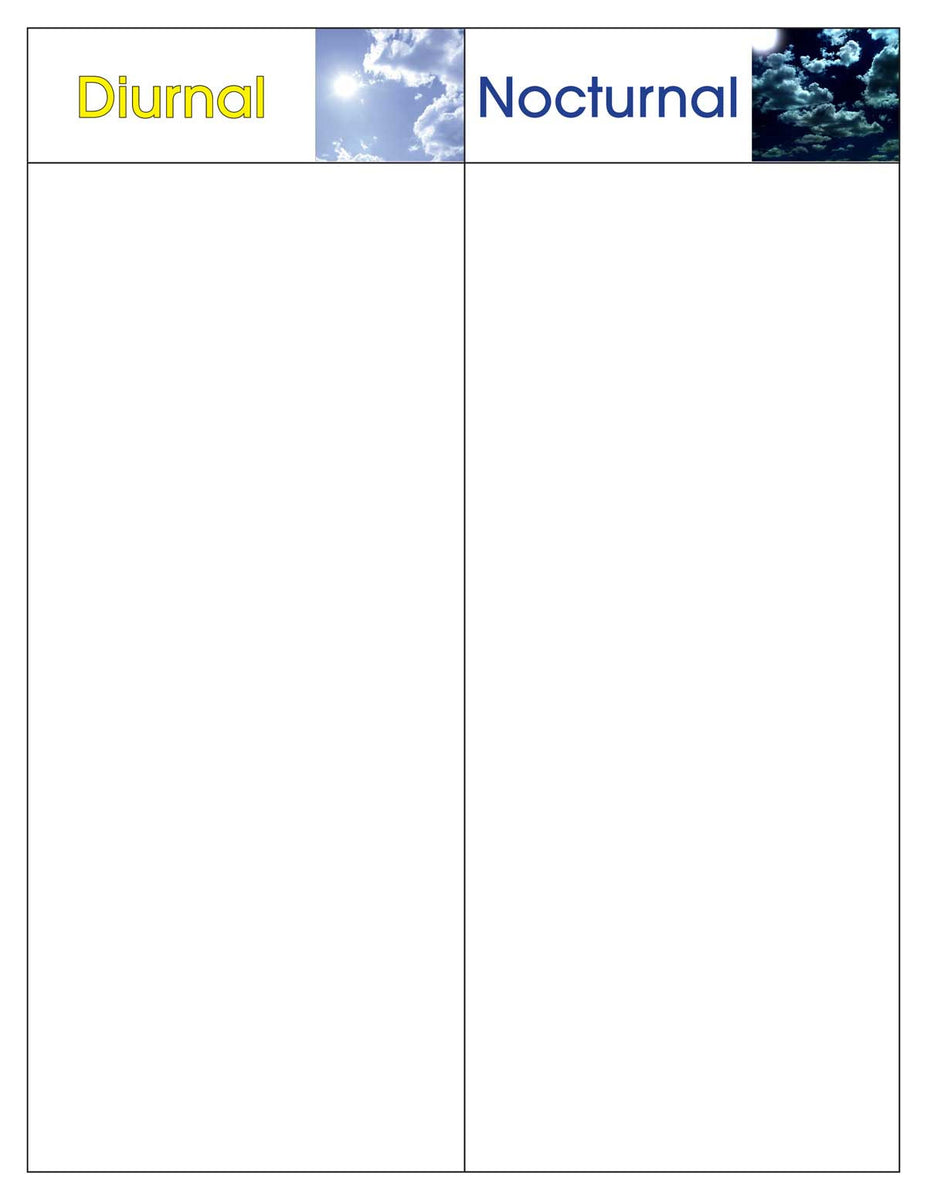 Diurnal/Nocturnal – Montessori Materials by Lakeview