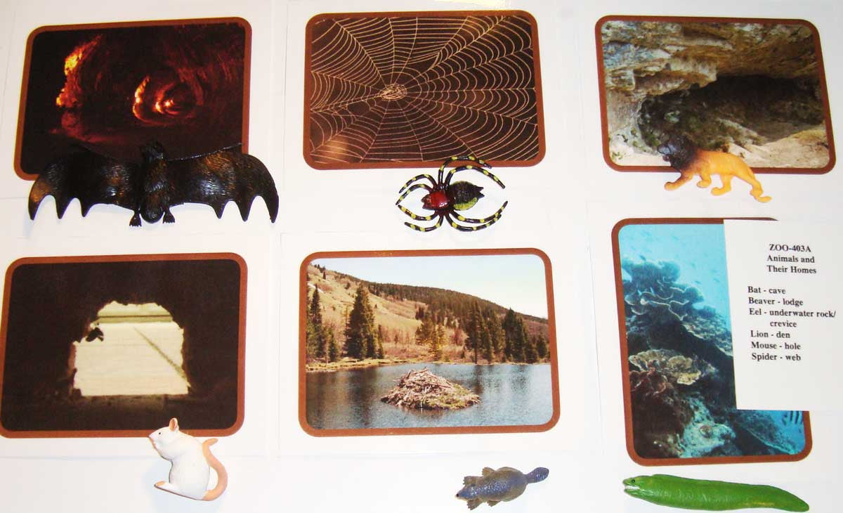 Animals and Their Homes – Montessori Materials by Lakeview