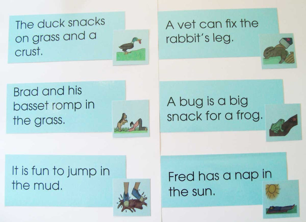 Blue Sentences & Pictures – Montessori Materials by Lakeview