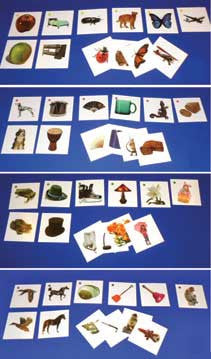 Picture Matching Set B - Similar Match – Montessori Materials by Lakeview