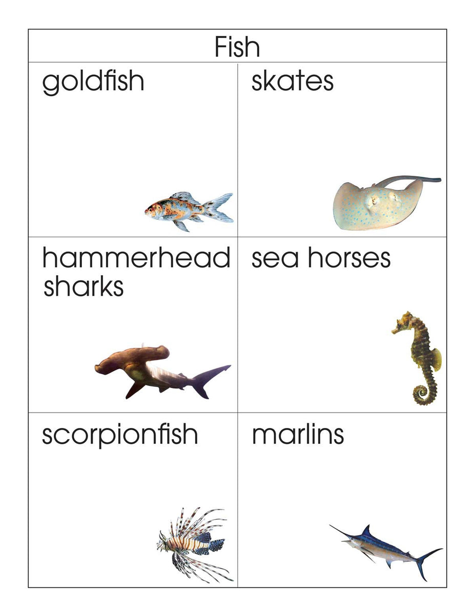 Fish – Montessori Materials by Lakeview