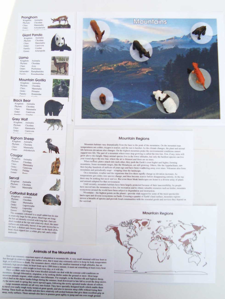 Biomes Set – Montessori Materials by Lakeview