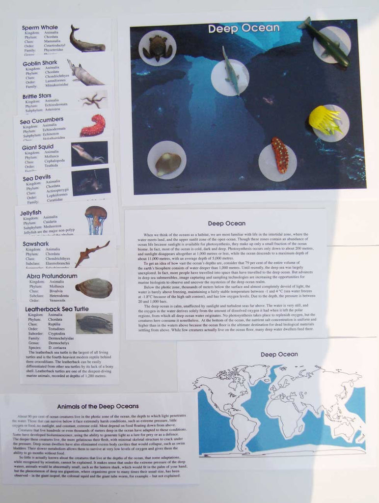 Biomes Set – Montessori Materials by Lakeview